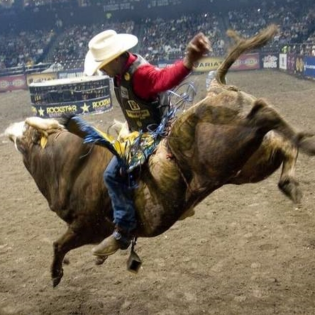 ERRC - Alles über die European Ranch Roping Competition.